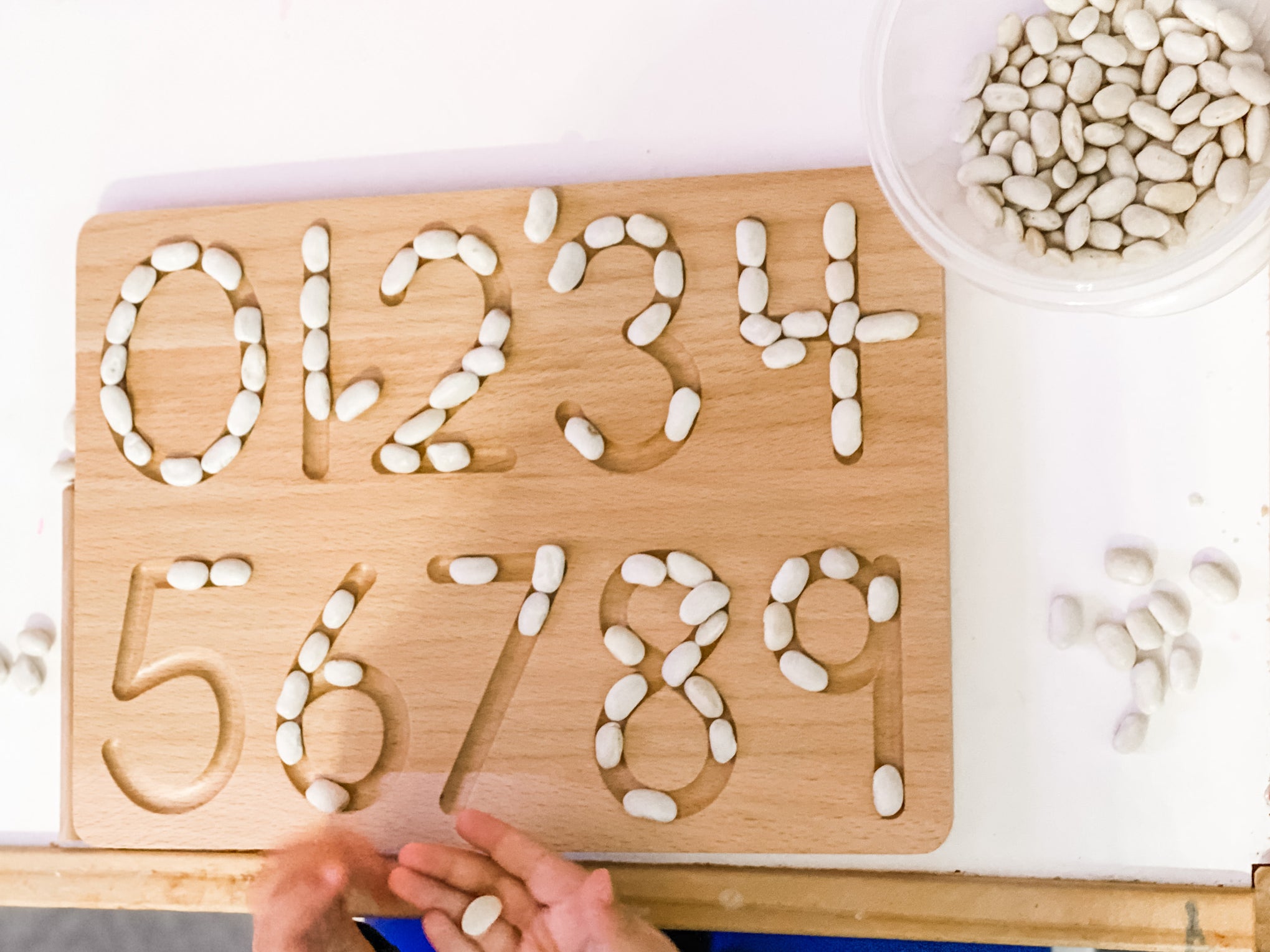 Daily Mind - Toys, Games, and Educational Resources for Children